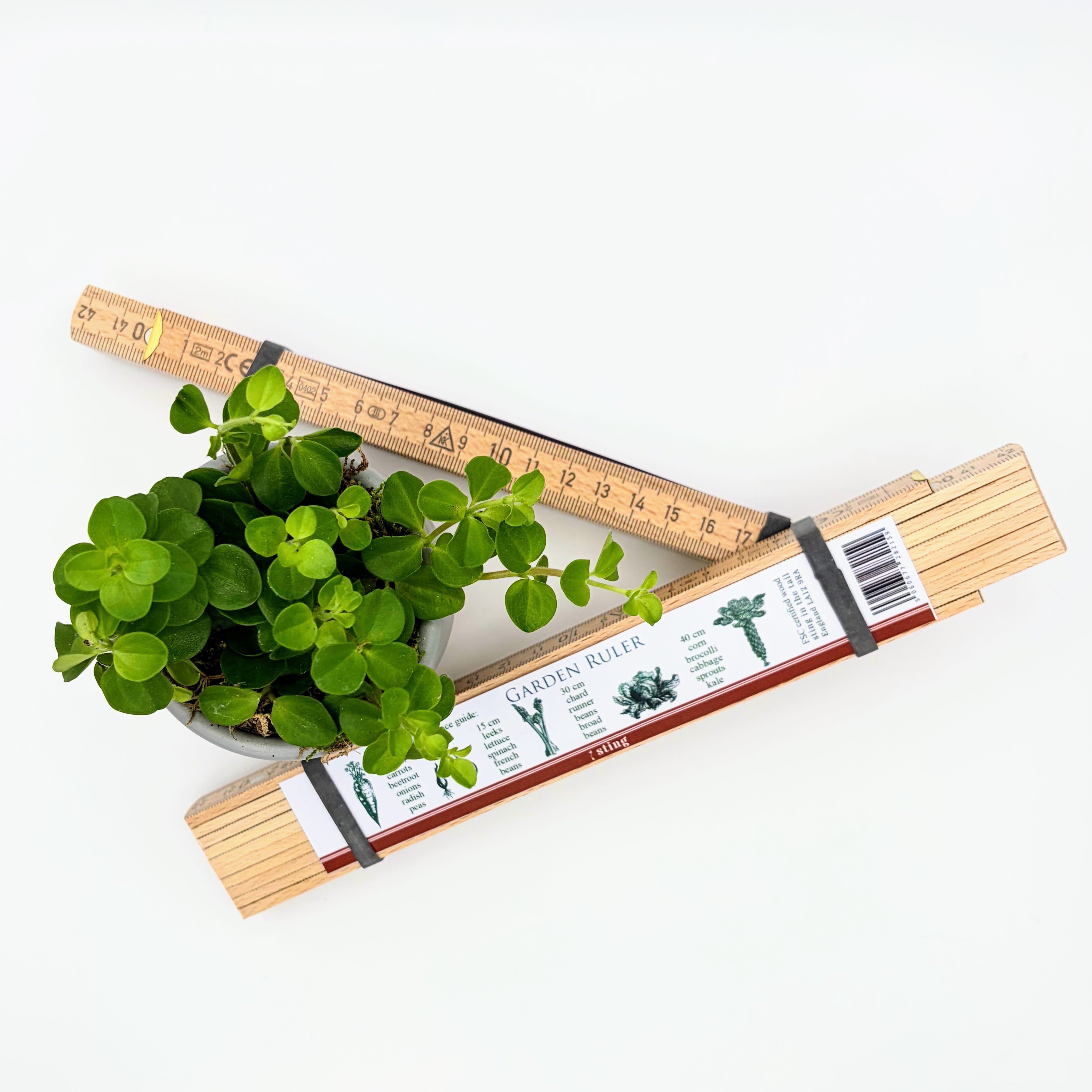 Garden Ruler – Garden Museum