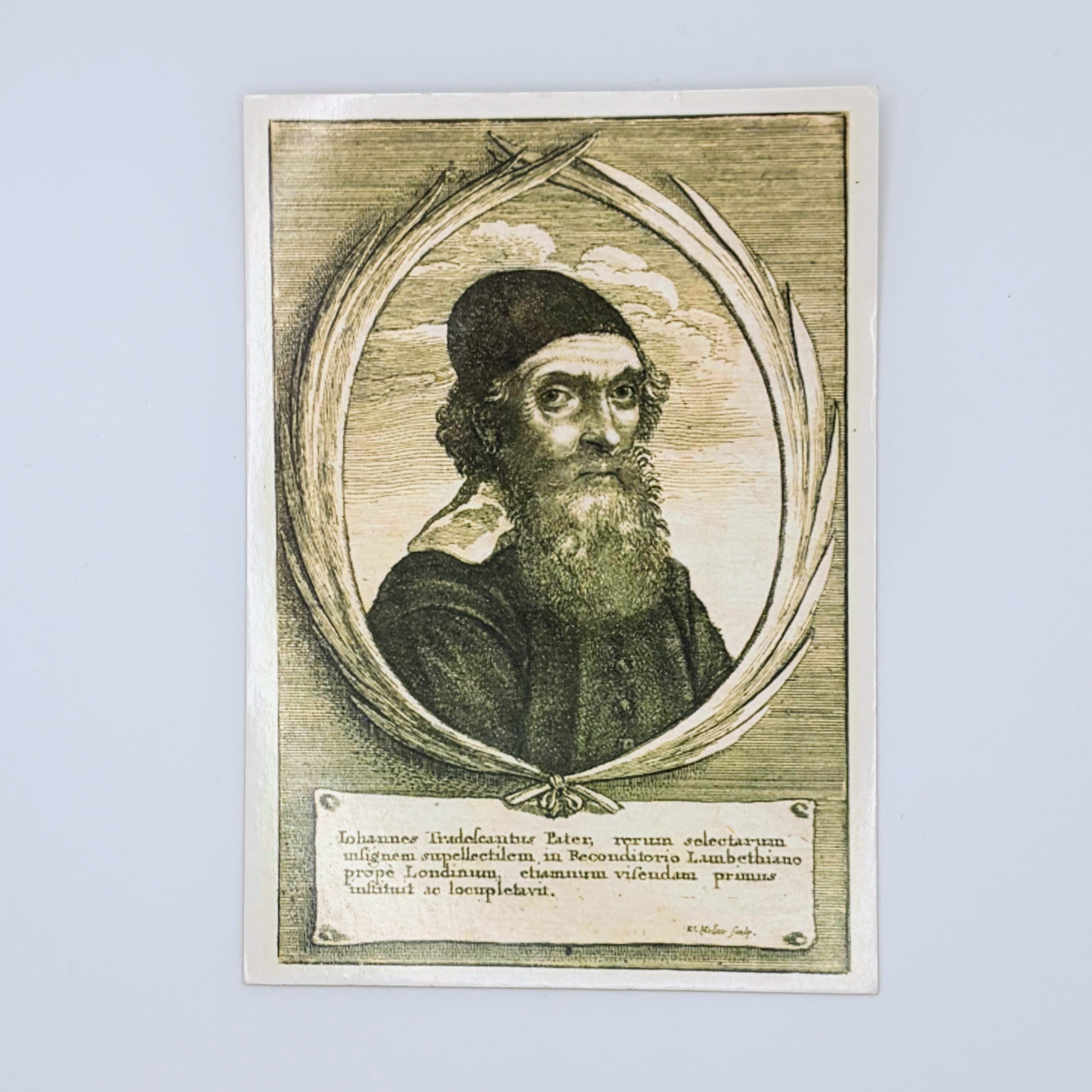 John Tradescant Senior Postcard – Garden Museum
